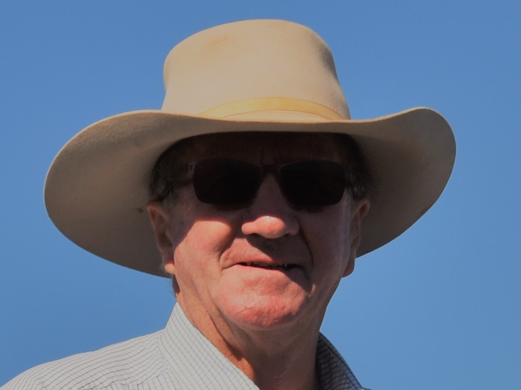 David Friend - Primac Gurus