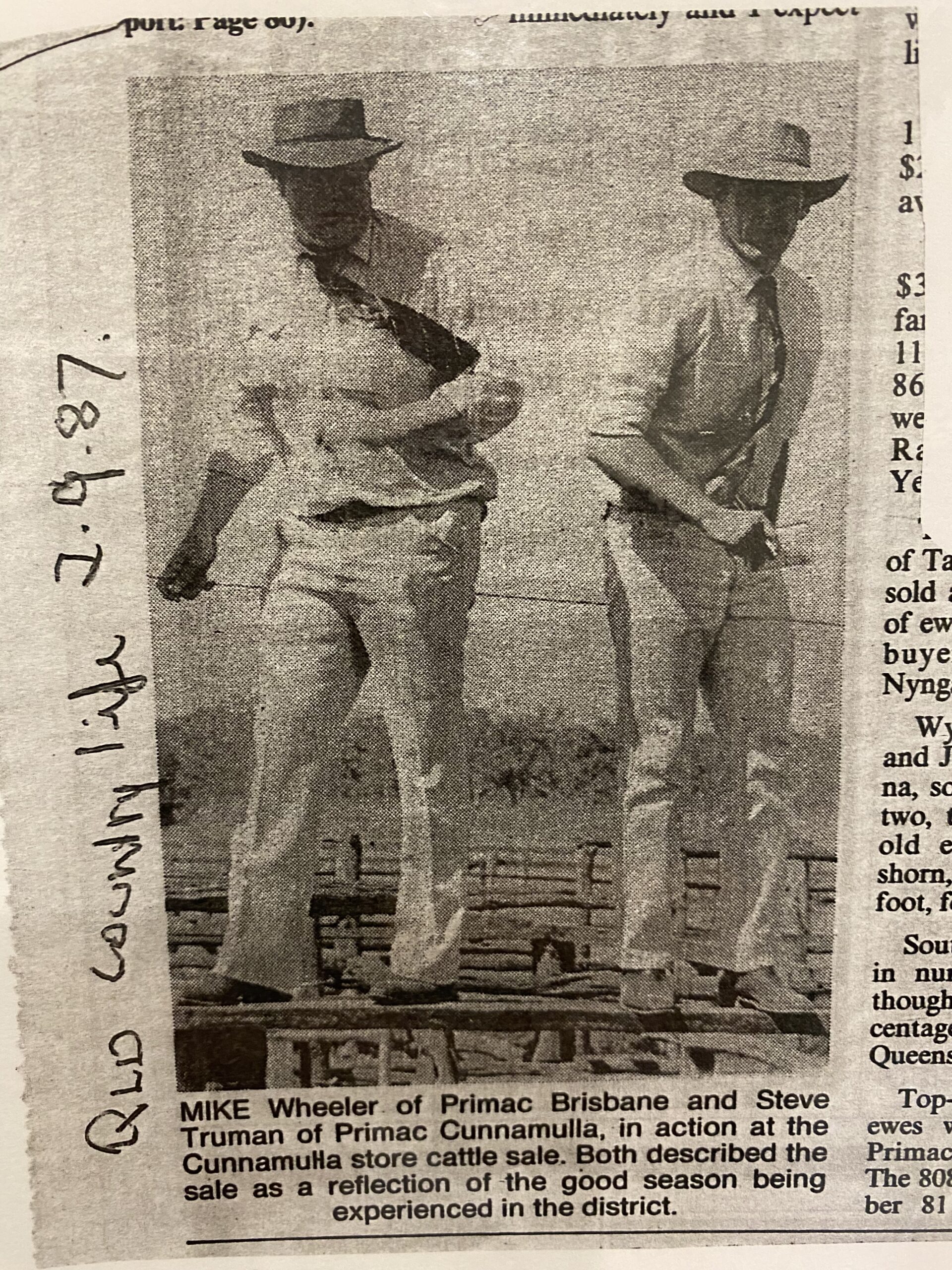 Steve Truman - Primac Gurus